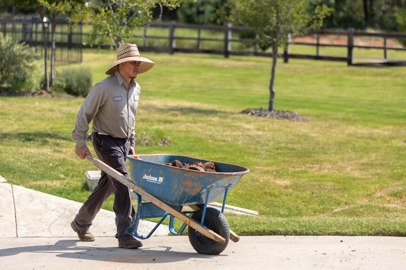 Top Dressing a Lawn: How to Do It & Why It’s Important in North Texas