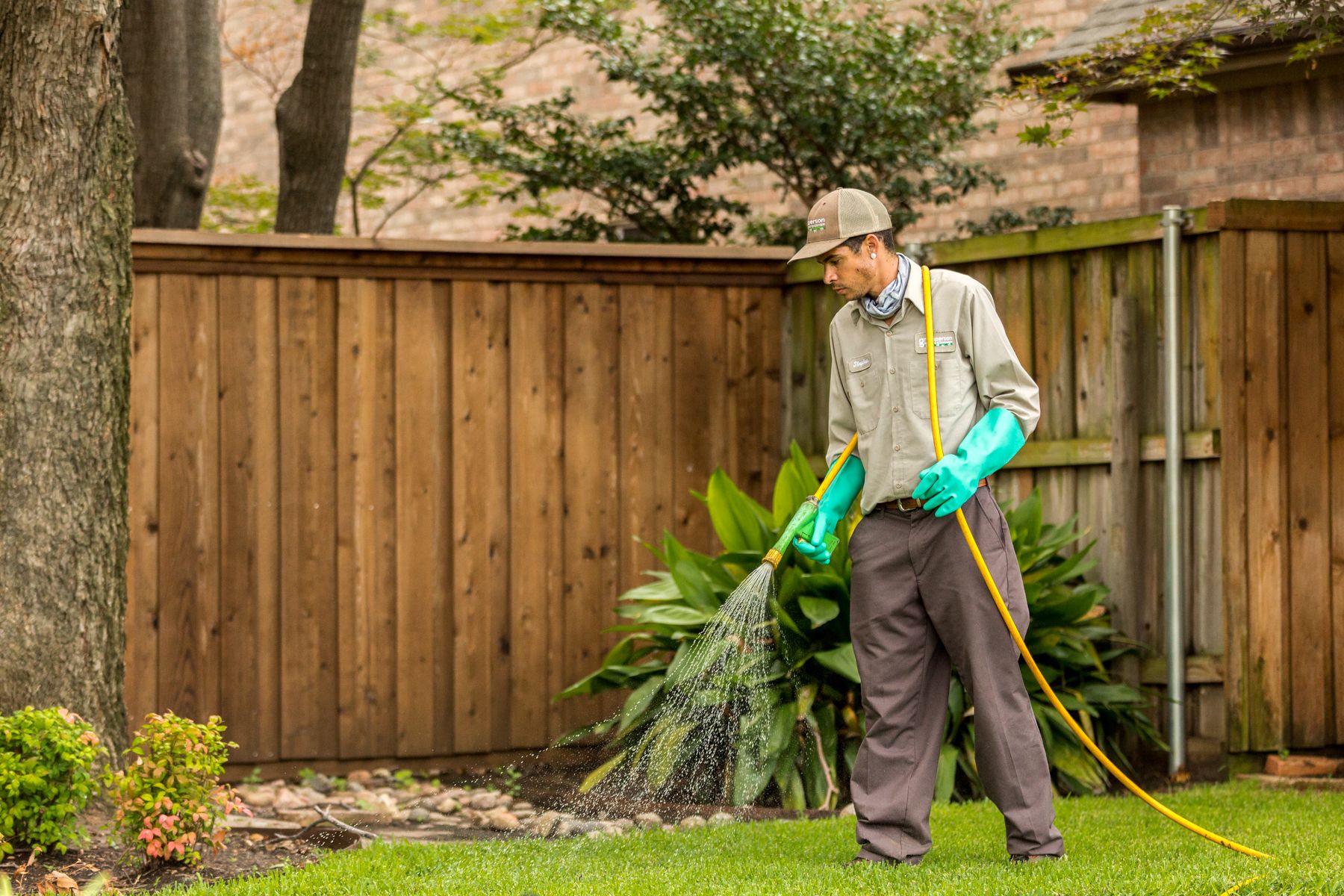 The Ultimate Guide to Lawn Weed Control in North Texas
