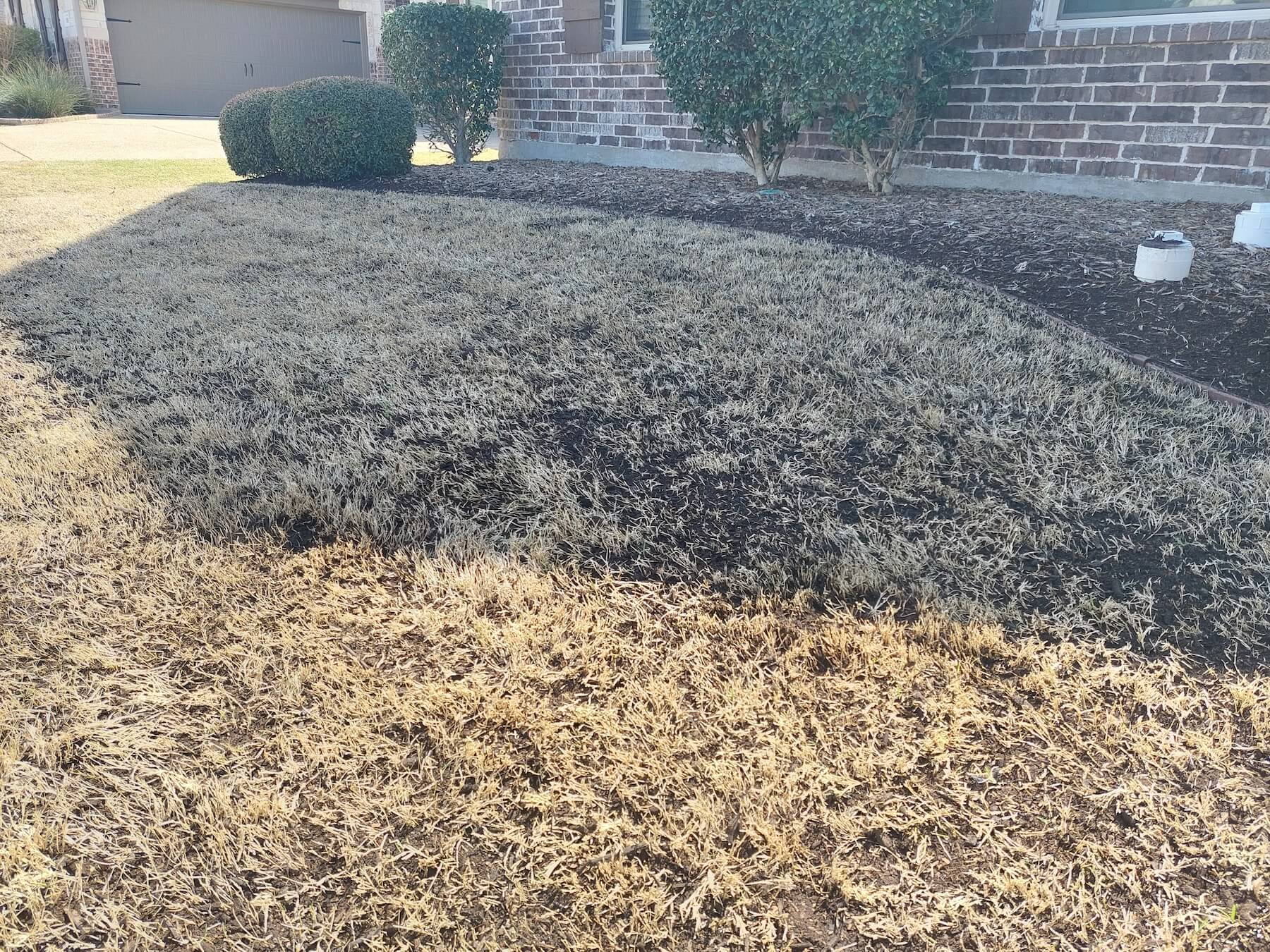 Reviving a Dead Lawn: A Step-by-Step Guide to Bring Your Grass Back to Life