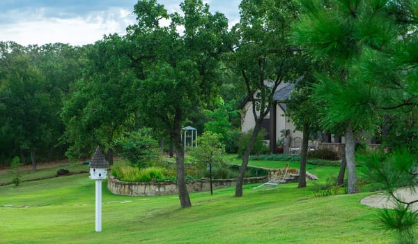 The Ultimate Guide to Zoysia Grass in Texas: Is It the Right Choice for ...