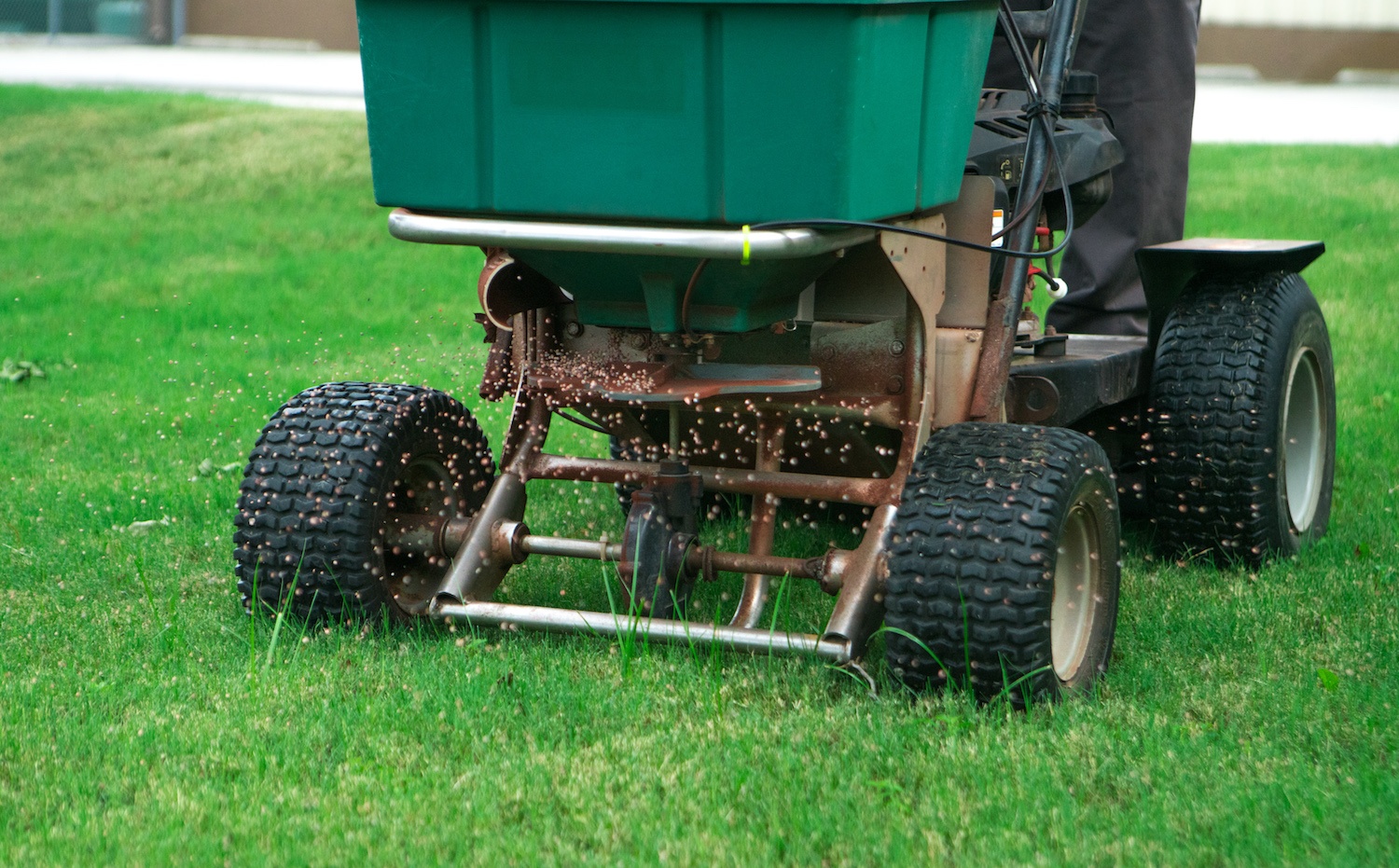 When to Fertilize Your Lawn in North Texas (and How to Do It Right)