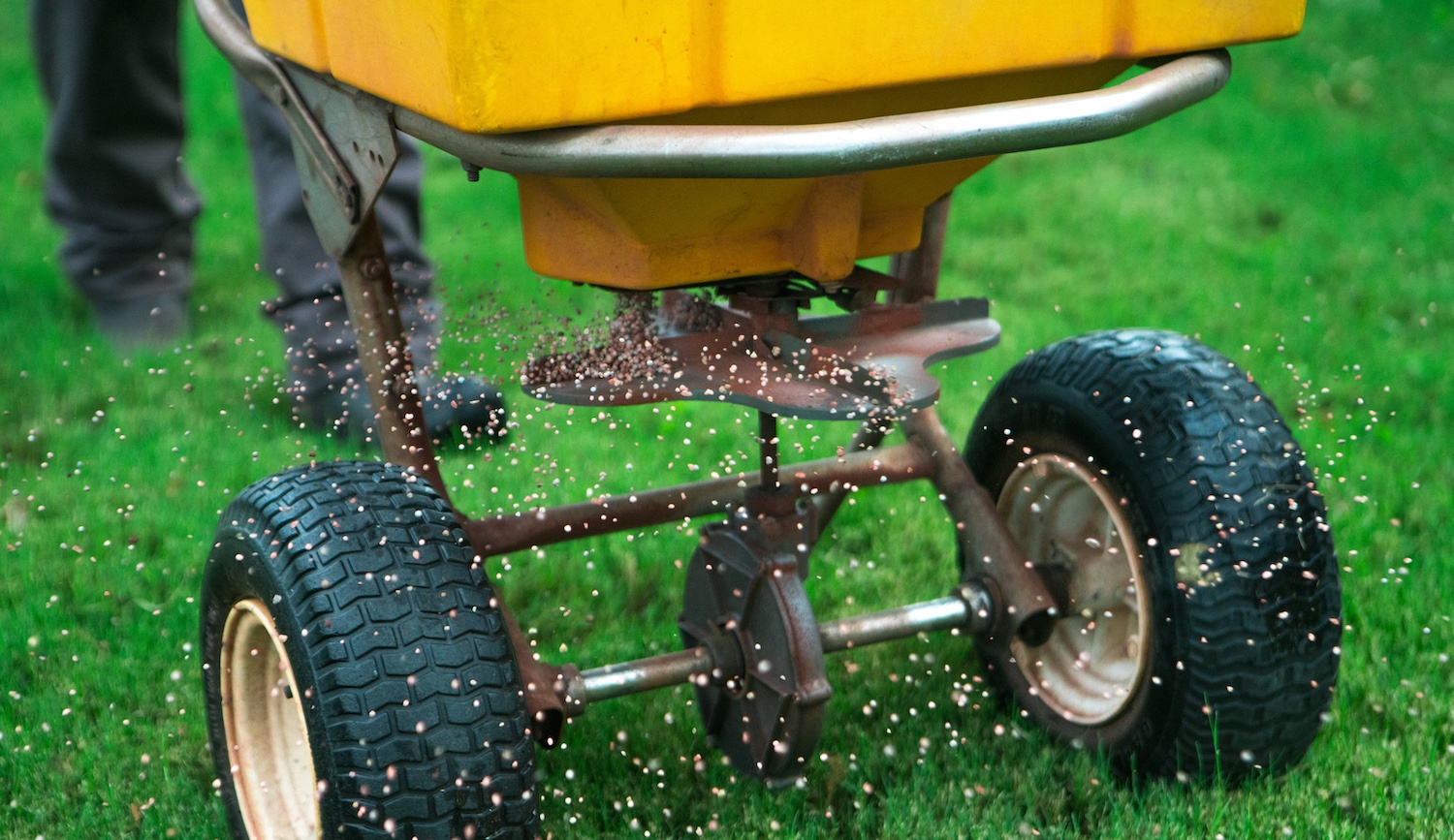 How to Make Grass Roots Grow Deeper and Why it Matters