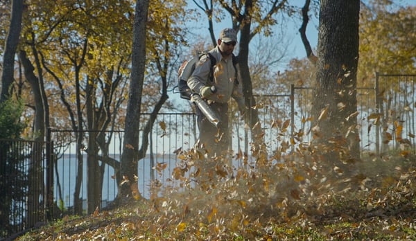 Fall Leaf Clean Up Service: How Much It Costs, What’s Included, & Why ...
